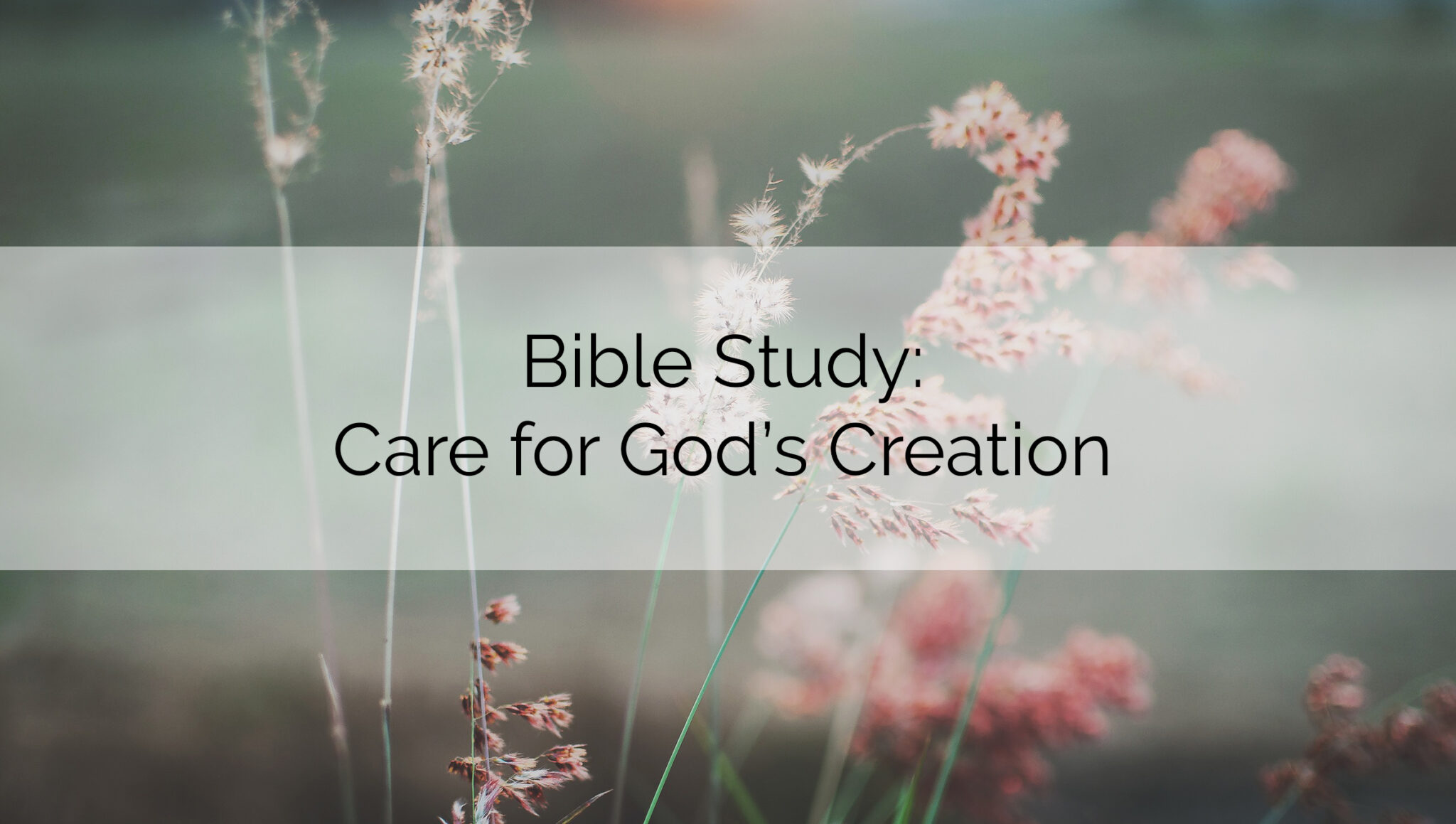 Care for God's Creation - youthESource